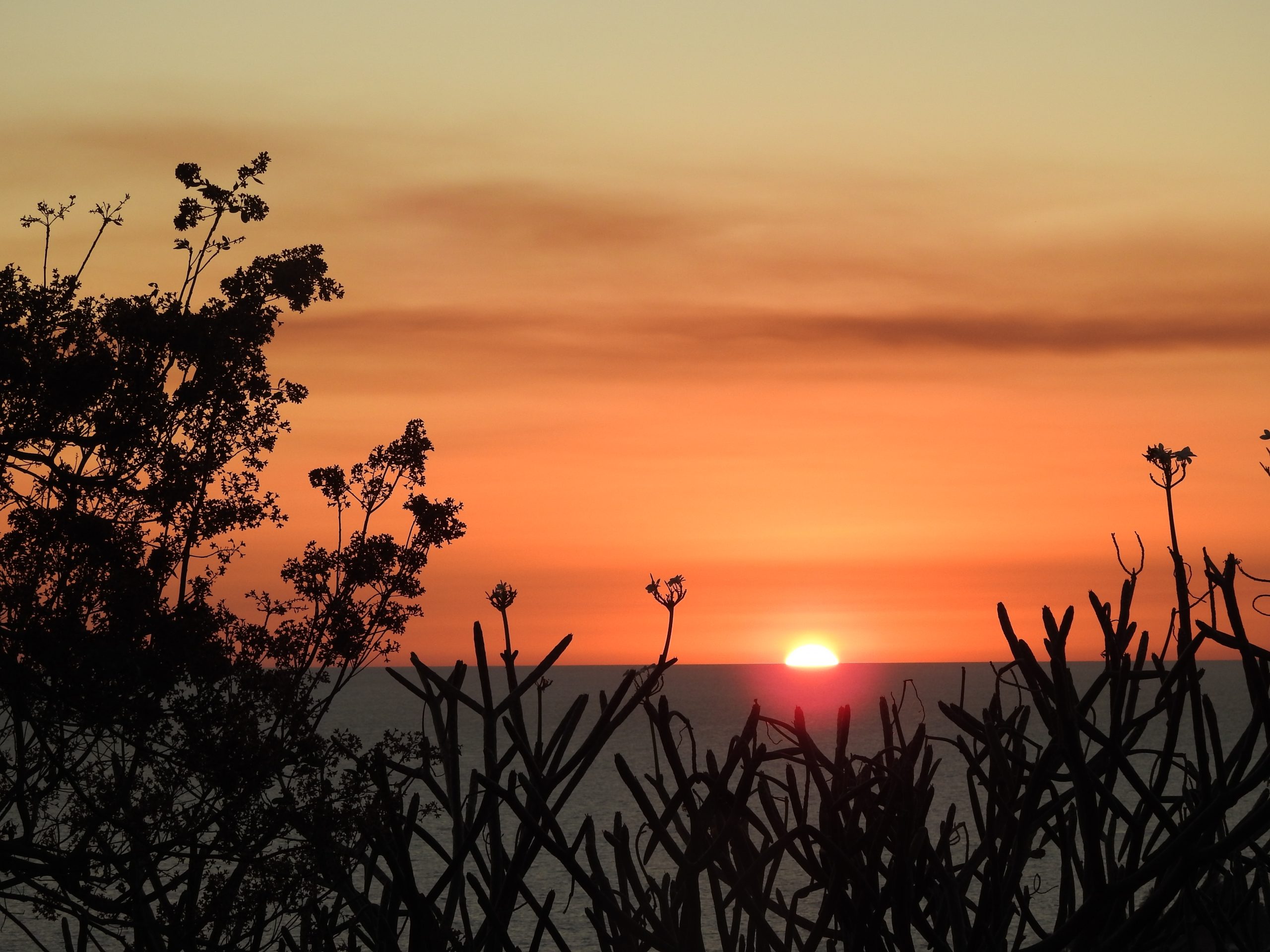 Sunzal Point Break House - El Salvador (SOLD) - The Surfers Journal