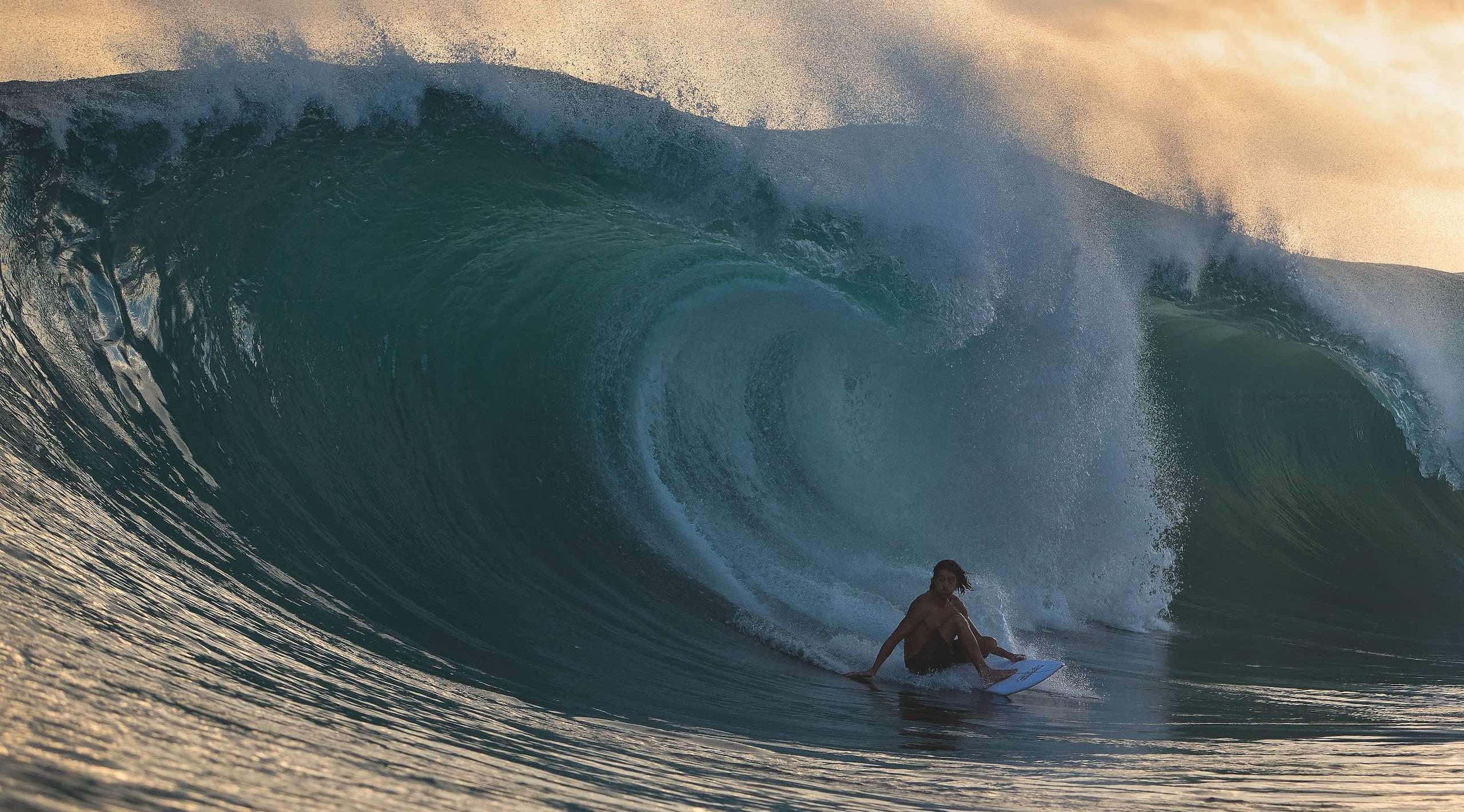 The Surfer's Journal