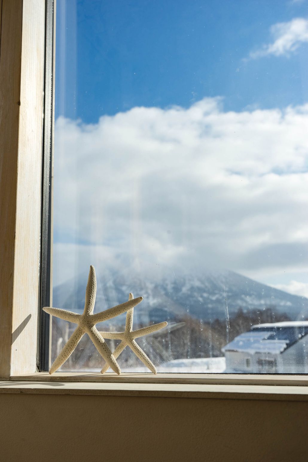 The Snowsurfer: At Home With Taro Tamai | The Surfers Journal