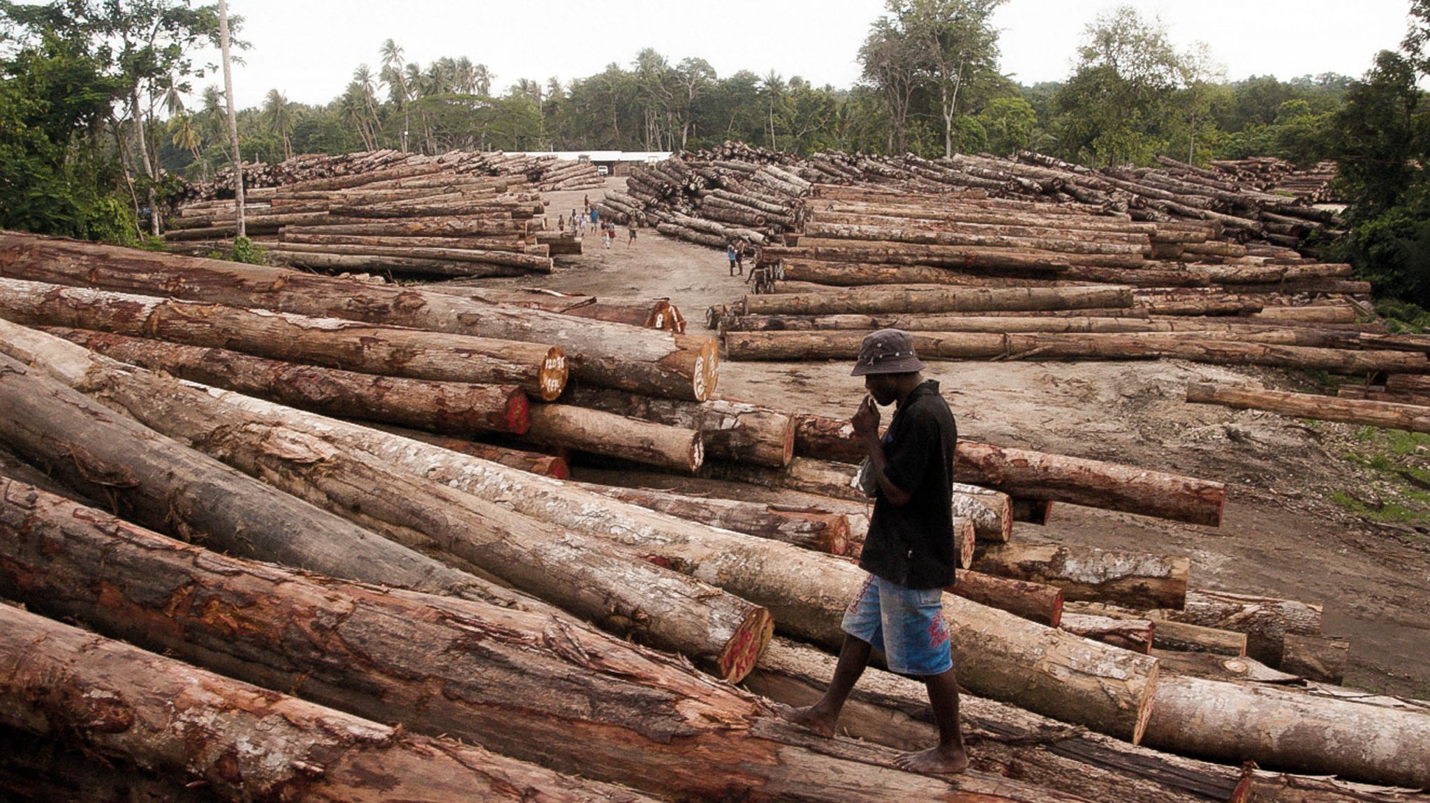 Papua New Guinea's Surf Scene and Deforestation | The Surfers Journal