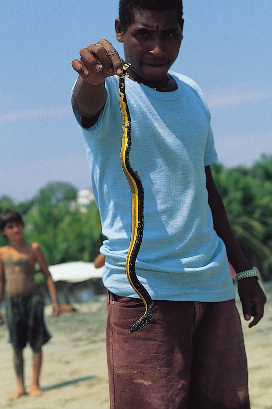 Whole Lotta' Love: Randy Dible Does Mexico, Part 2 | The Surfers Journal