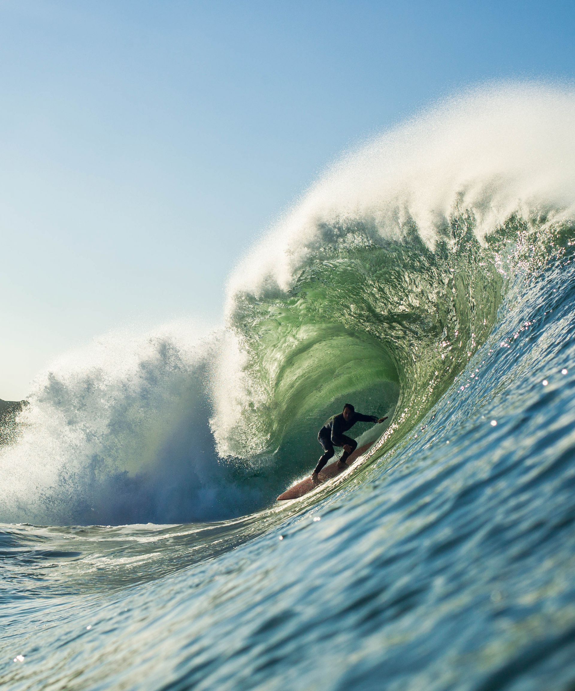 How Templates Map a Surfboards Very Genome | The Surfers Journal