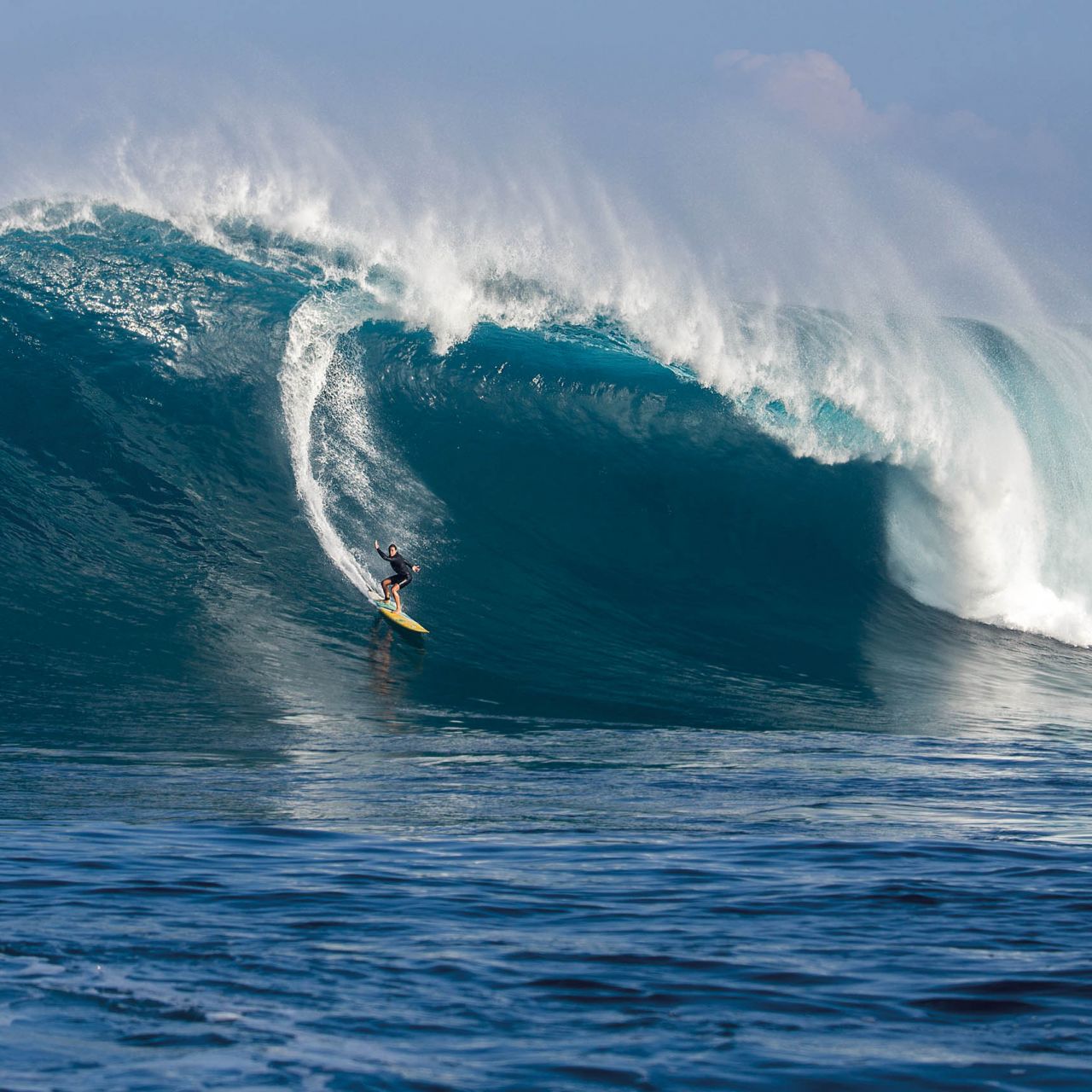 The Surfer's Journal