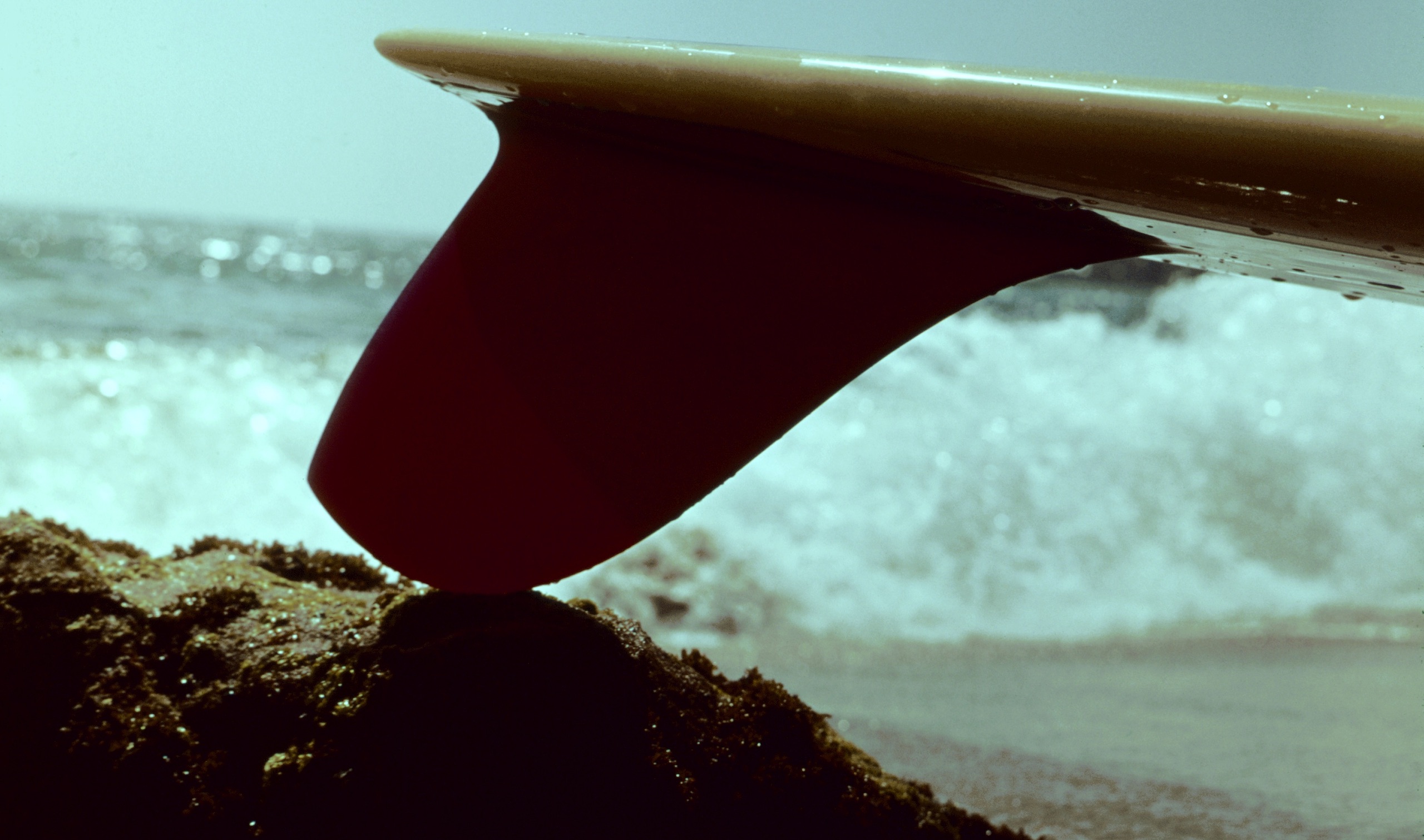 Wardy’s Ads - The Surfers Journal