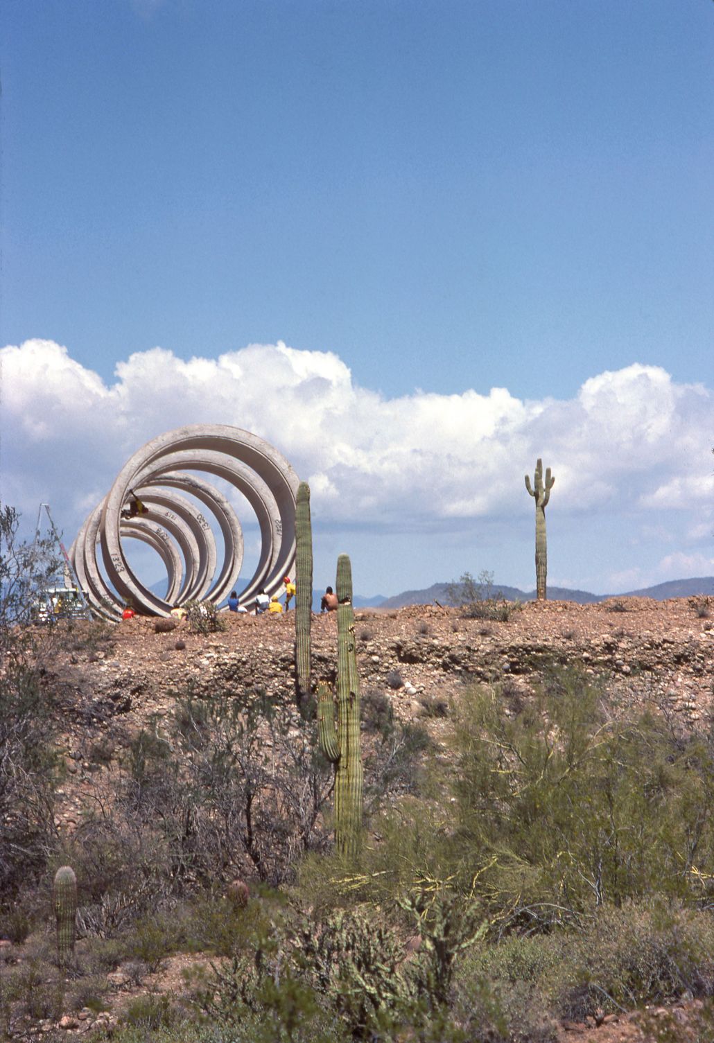 Every Desert Hides a Well: Surf-Skating in Arizona - The Surfers Journal