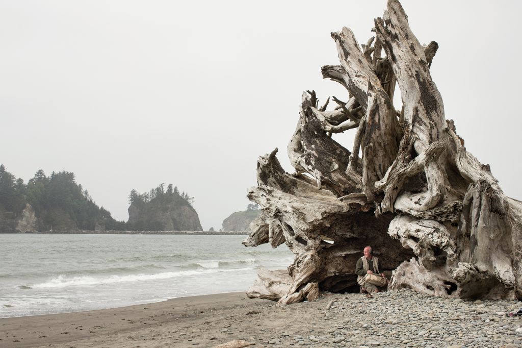 Where Silence Reigns: Where Silence Reigns - The Surfers Journal