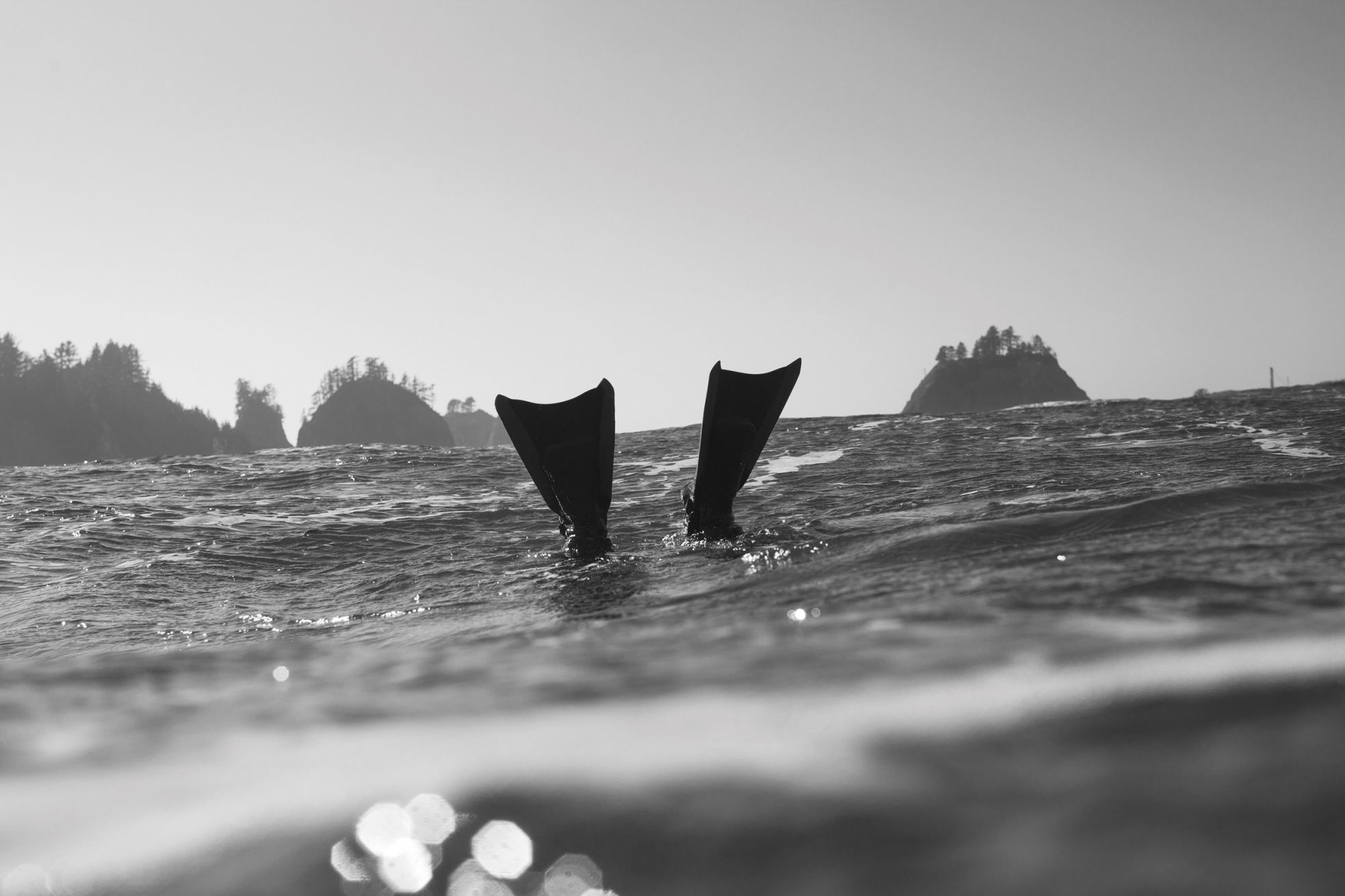 Where Silence Reigns: Where Silence Reigns - The Surfers Journal