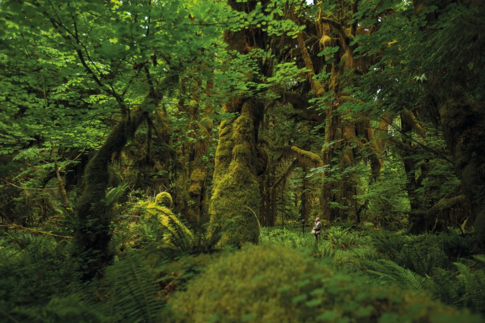 Where Silence Reigns: Where Silence Reigns - The Surfers Journal