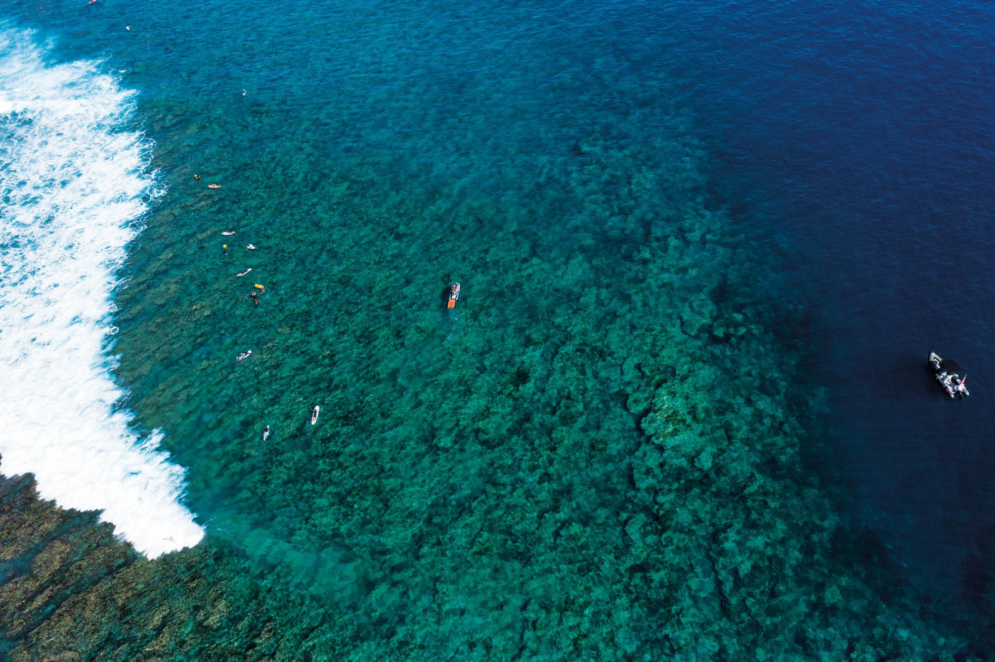 Reunion Island's Shark Crisis - The Surfers Journal