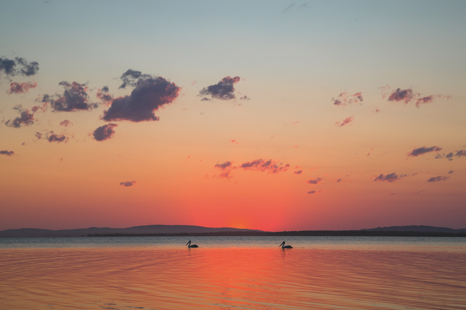 Angourie in their Hearts - The Surfers Journal