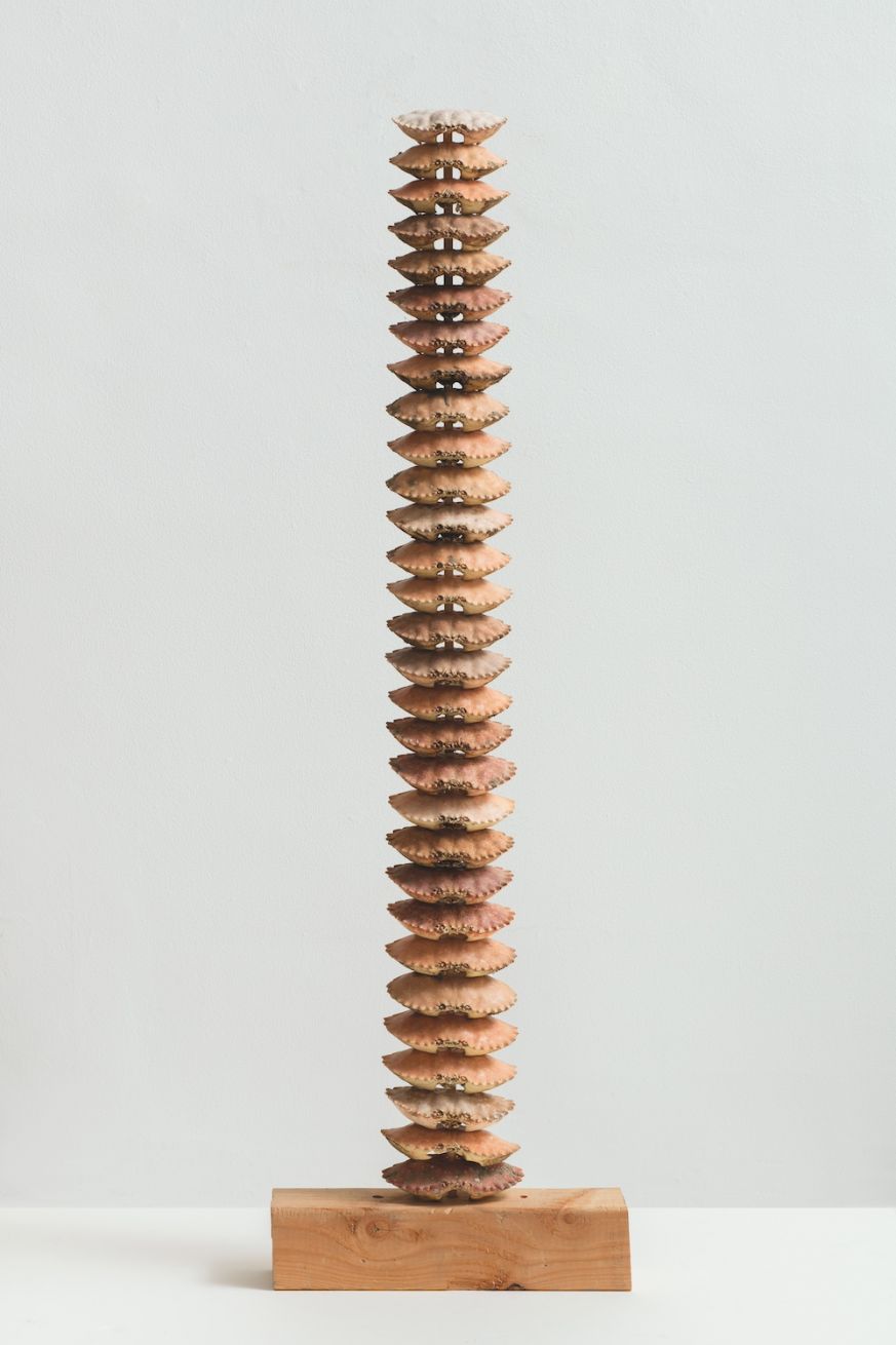 An Assembled World - The Surfers Journal