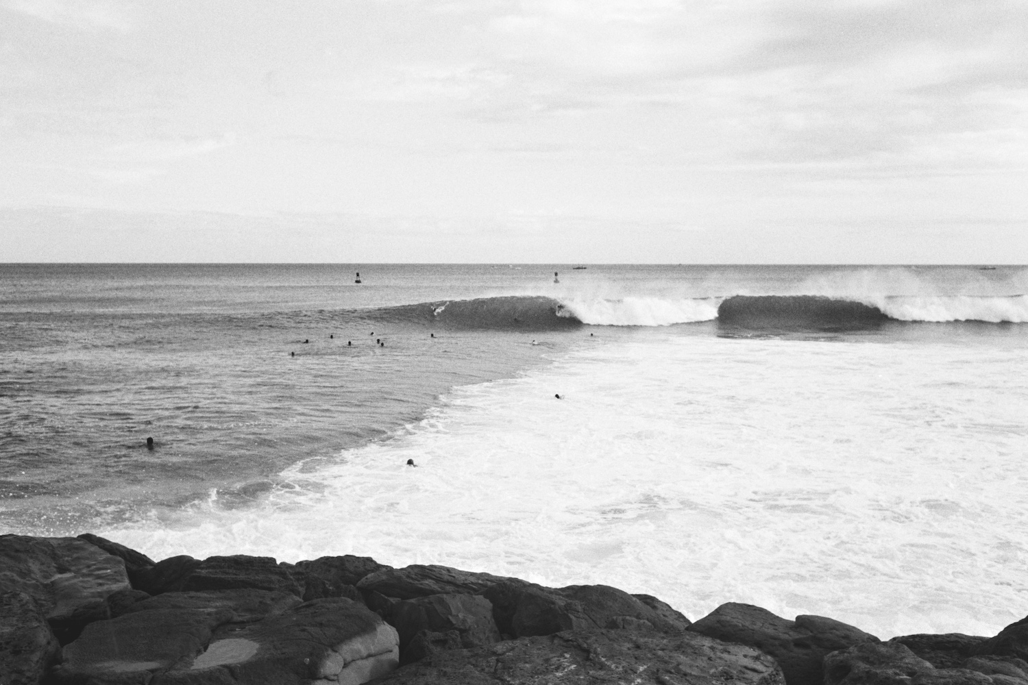 The Panic Response - The Surfers Journal