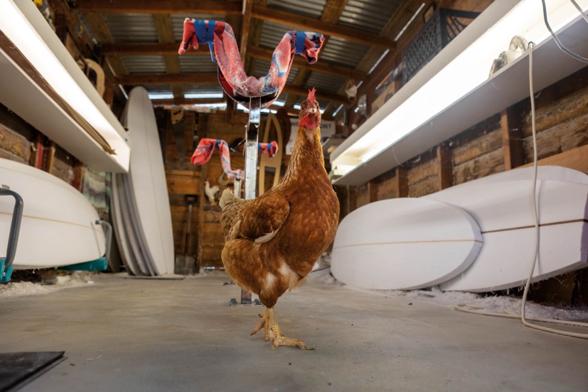 Corey Colapinto: Super Magic - The Surfers Journal