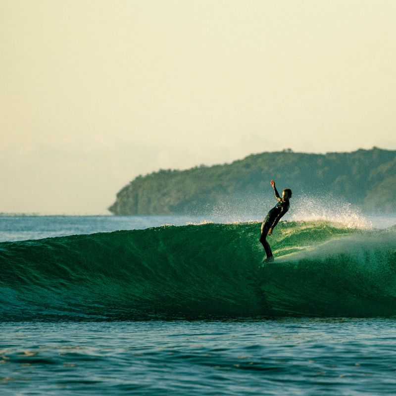 The Surfer's Journal