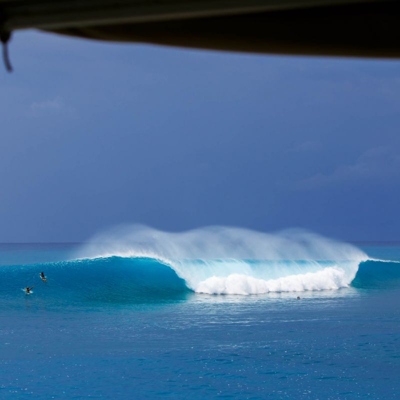 The Surfer's Journal