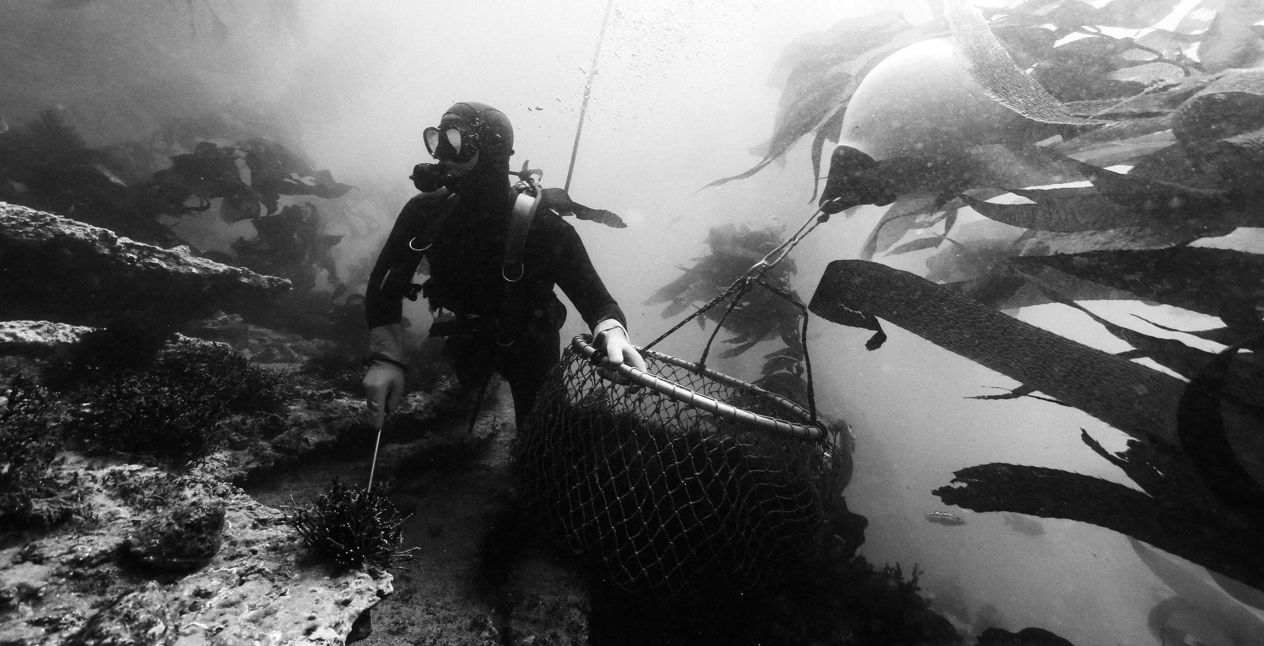 Current Issue - The Surfers Journal