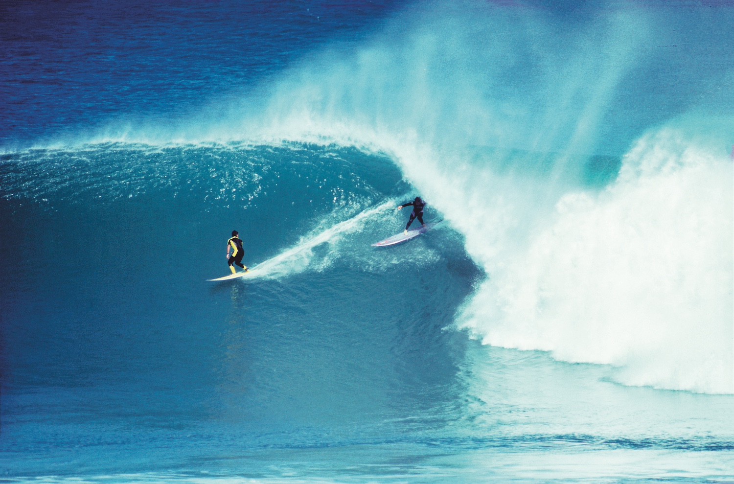 Steve Ryan: Kangaroos, Snow Leopards & Steel-Cut Lines - The Surfers ...