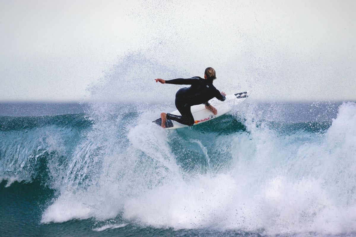 Steve Ryan: Kangaroos, Snow Leopards & Steel-Cut Lines - The Surfers ...