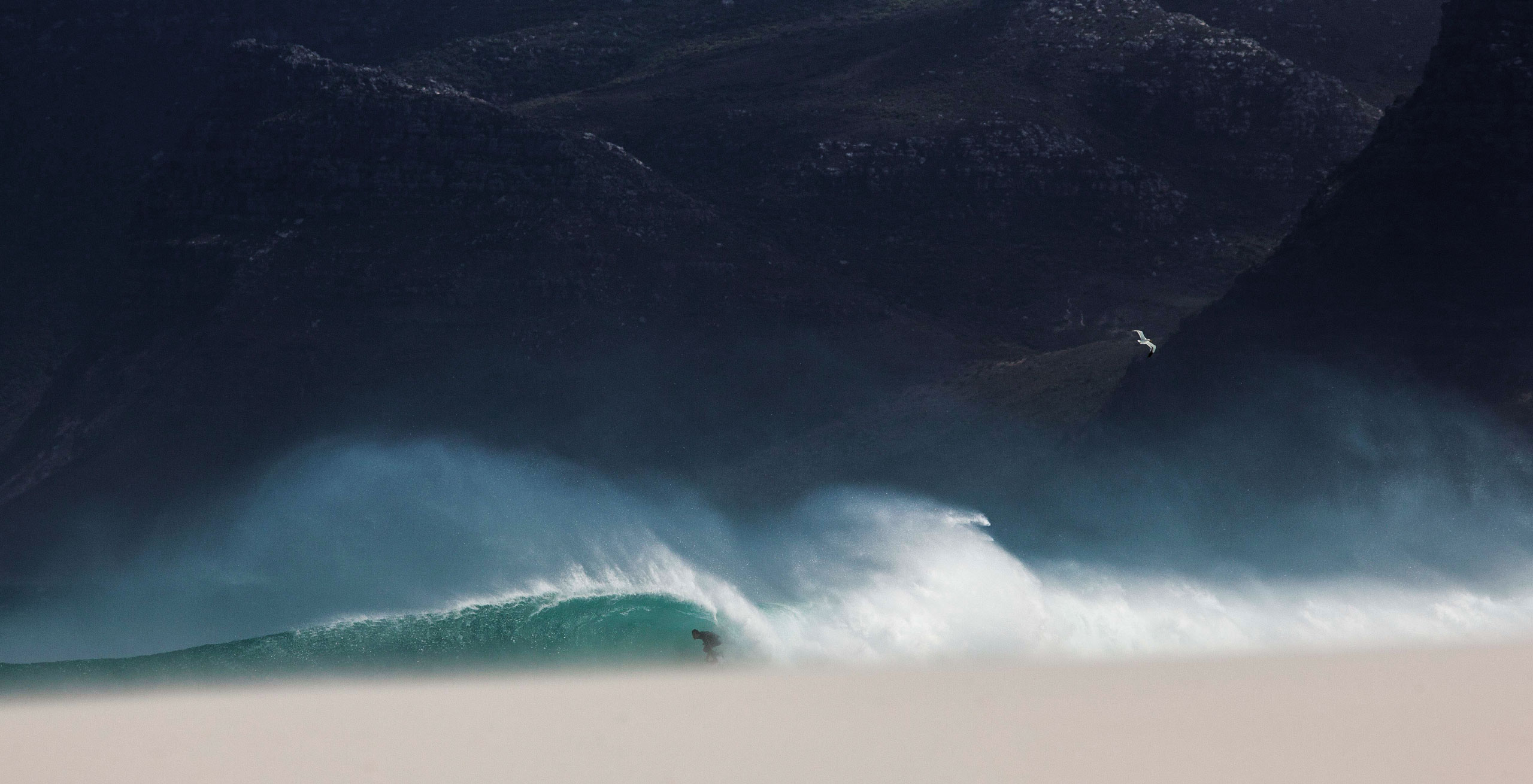 Current Issue - The Surfers Journal