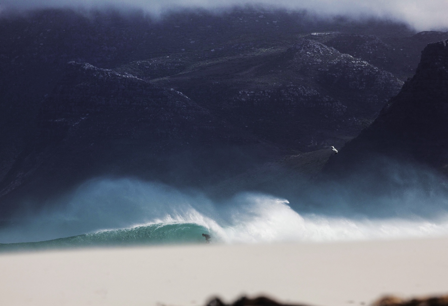 Hidden in Plain Sight: Ant Fox - The Surfers Journal