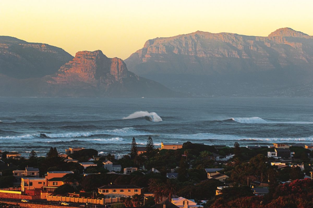 Hidden in Plain Sight: Ant Fox - The Surfers Journal