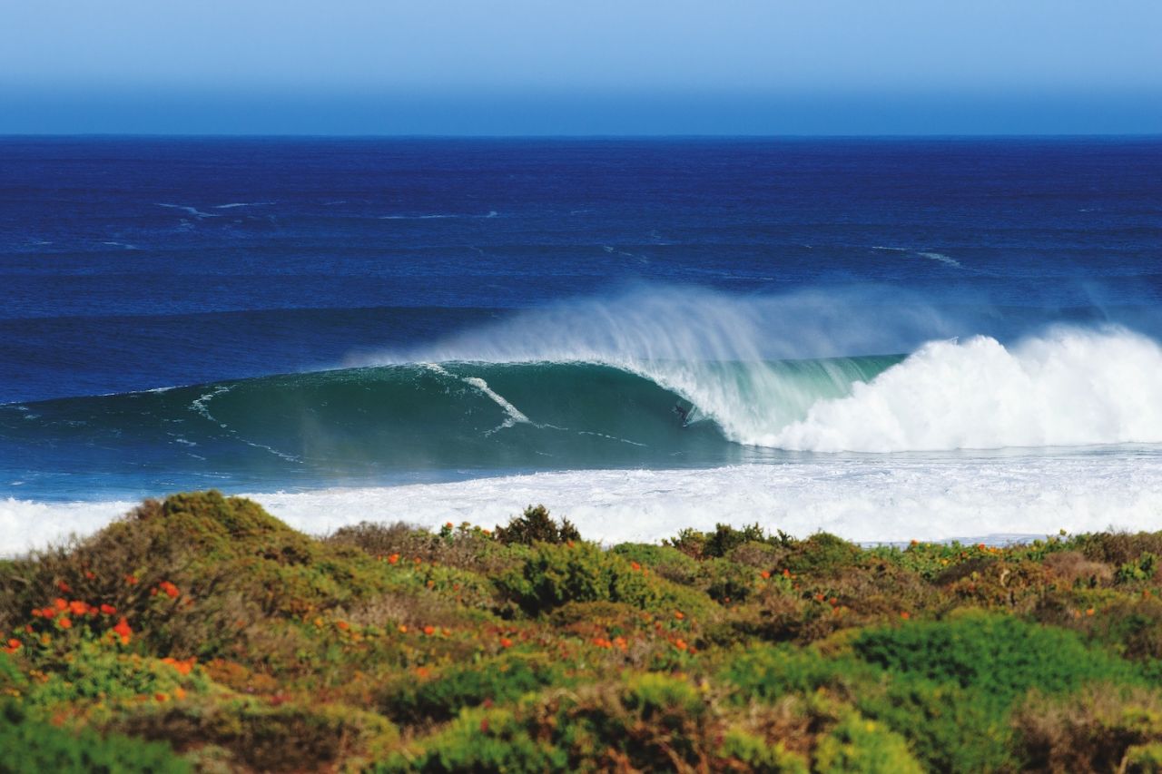 Hidden in Plain Sight: Ant Fox - The Surfers Journal