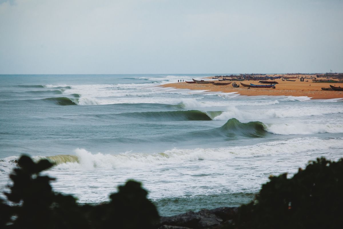 Hidden in Plain Sight: Ant Fox - The Surfers Journal