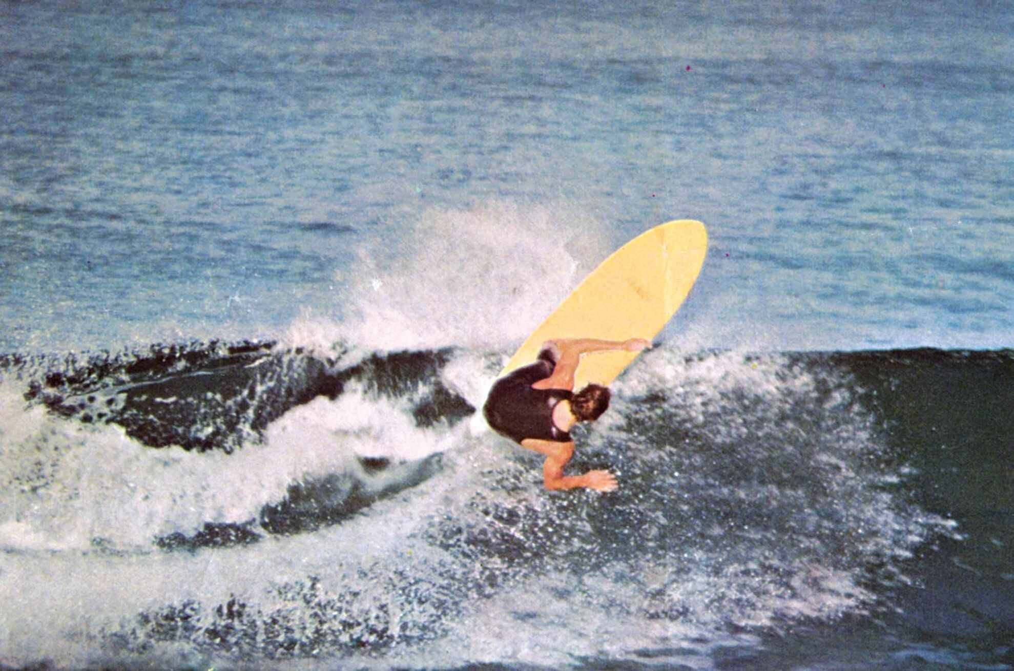 Eggheads - The Surfers Journal